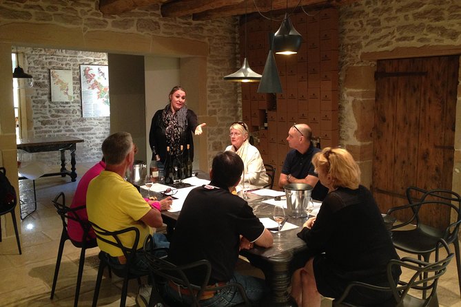 Southern Burgundy Wine Tour - Full Day Shared tour from Lyon - Practical Tips for Your Burgundy Day Trip