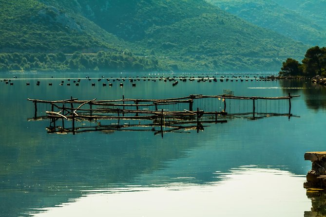 Ston Oysters & Wine Tasting Tour from Dubrovnik - FAQ