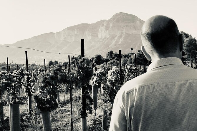 Sunset among Vineyards with Tasting in Alicante (min 6-12 people) - Who Will Love This Tour?