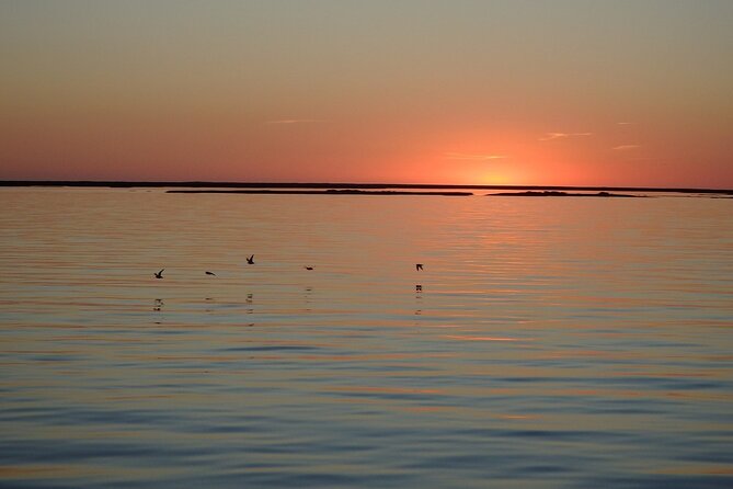 Sunset Tour | Ria Formosa - From Faro - Detailed Breakdown of the Experience