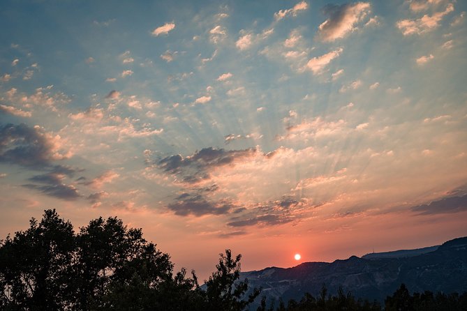 Sunset wine tasting in vineyard - Practicalities and Value