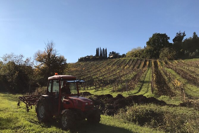 Super Tuscan & IGT wines, Evo Oil & Balsamic Vinegar Tasting - What Makes This Tour Stand Out?
