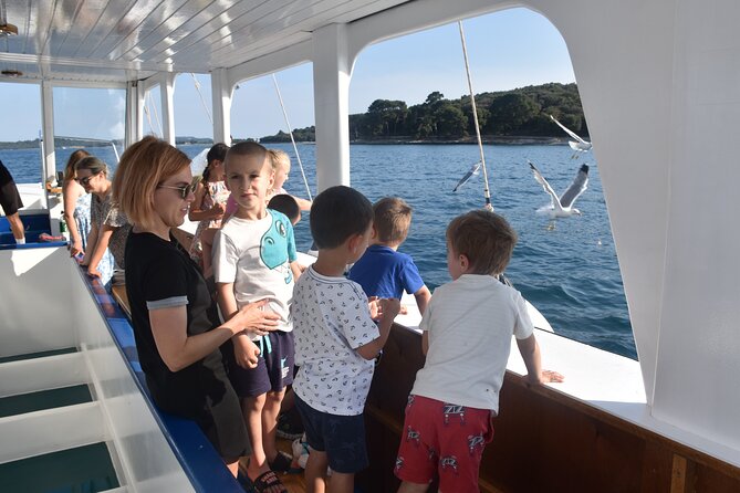 Swimming and Snorkeling in Fazana - Summary of the Experiences Value