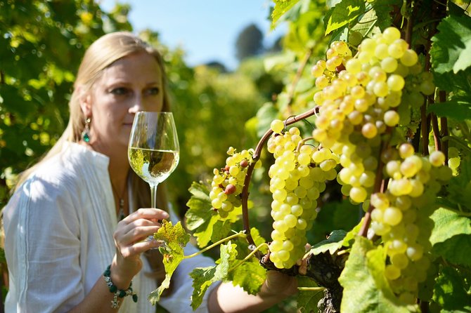 Swiss Wine Tasting at Lavaux Vineyards: Private Trip from Geneva - Final Thoughts