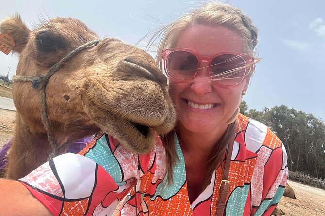 Tangier Luxury Private Day Tour From Tarifa including Camel ride - FAQ: Your Practical Questions Answered