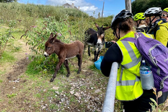 Taste of Connemara Tour by Electric Fat Tyre Bike - FAQ