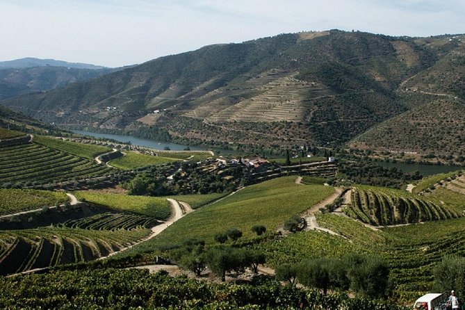 Taste the Douro - Vintage Experience - FAQ