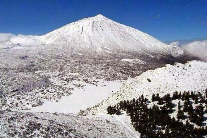Teide-Icod-Garachico-Masca (Most popular bus tour in Tenerife)