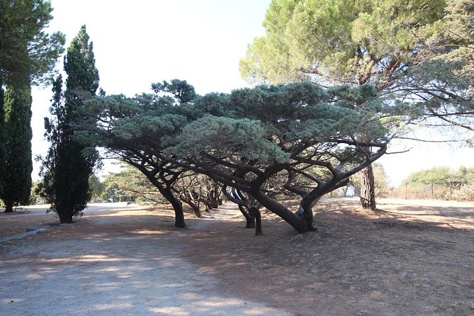 The Best of Rhodes & Lindos: Full Island Tour (Small Group) - The Value of This Tour