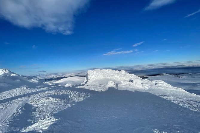 The Best of Sofia: Magical Snowshoeing Adventure in Vitosha & SPA - FAQ