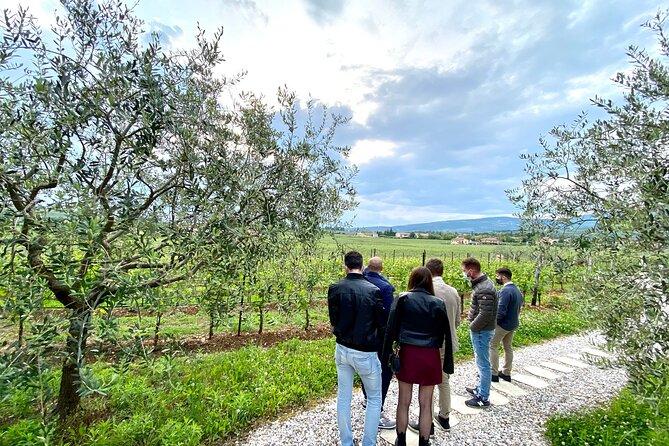 The Grand tour of Valpolicella: 2 Wineries, Lunch & Amarone focus - Authentic Experiences and Why They Matter