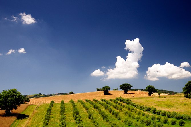 The Maremma - The Practical Side: Logistics, Price, and Flexibility