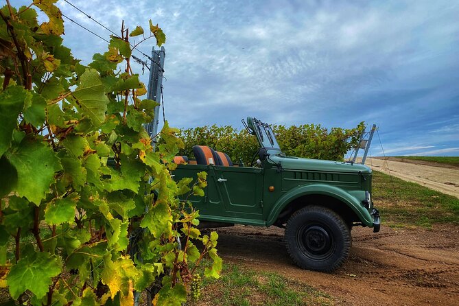 The only Wine Cocktail Club in Tokaj, Lunch & Fun, Hungary - The Sum Up: Is It Worth It?