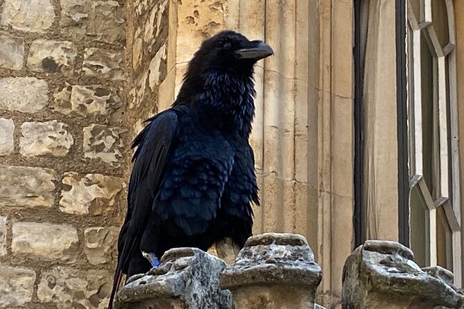 The Tower of London - Small Group Tour with a Local Expert - Practical Considerations