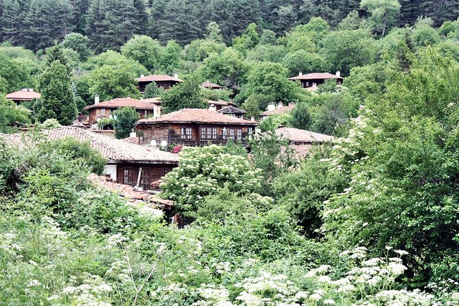 The Ultimate Private Zheravna Walking Tour - FAQ