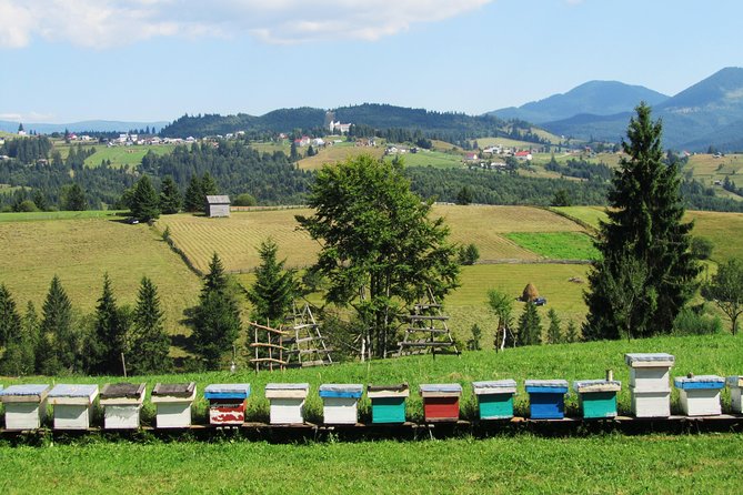 The wine route by bike - The Sum Up: Who Will Love This Tour?