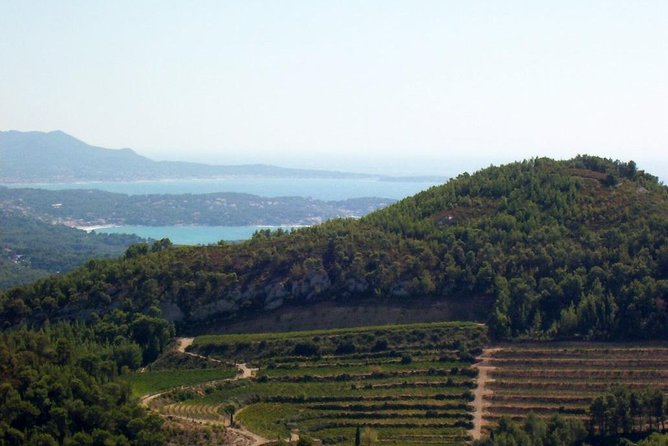 Toulon and Surroundings - 7hour tour - Final Thoughts: Is It Worth It?