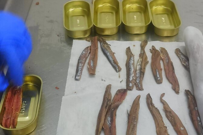 Tour to the Anchovies Factory and Santoña Marshes with Tasting - A Close Look at the Experiences Value