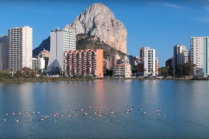 Transfer from Alicante airport to Calpe in private Sedan car max. 3 passengers - Who Should Consider This Transfer?