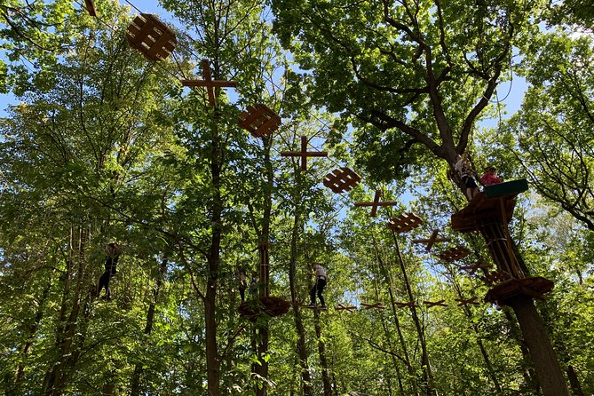 Tree Top Adventure in Forest of Meudon - Safety and Customer Service