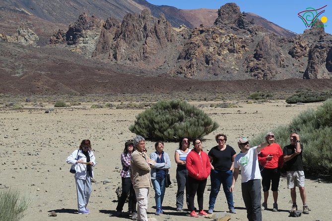 Trekking, wineries, birdwatching, local gastronomy, etc. - Authentic Experiences and What Travelers Say