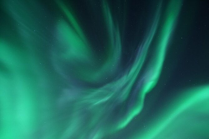 Tromsø: Evening Cruise with Northern Lights Opportunity - Practical Details: What You Need to Know