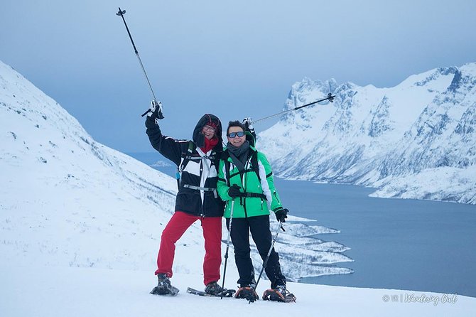 Tromsø: Winter Snowshoeing with Wandering Owl - Weather Considerations and Flexibility