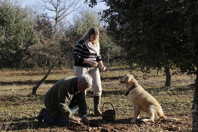Truffle Hunt & Wine Tasting - Final Thoughts