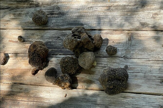 Truffle Hunting, Culinary & Wine Celebration from Elounda - FAQ