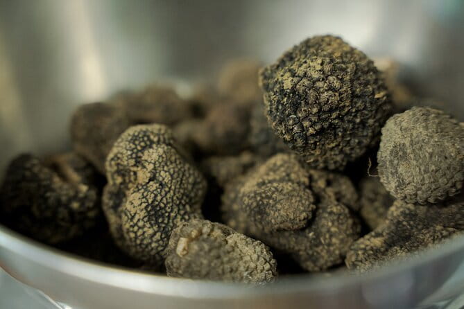 Truffle hunting + gourmet tasting (transfer included) - FAQ