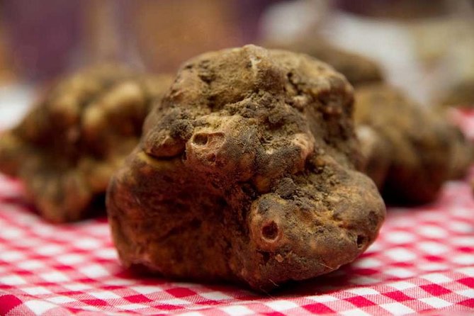 Truffle Hunting with Tasting Included - Umbria, Italy - Who Should Consider This Tour?