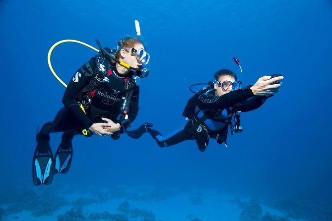 Try Scuba Dive (baptism of the sea) - The Sum Up: Who Will Love This Tour?