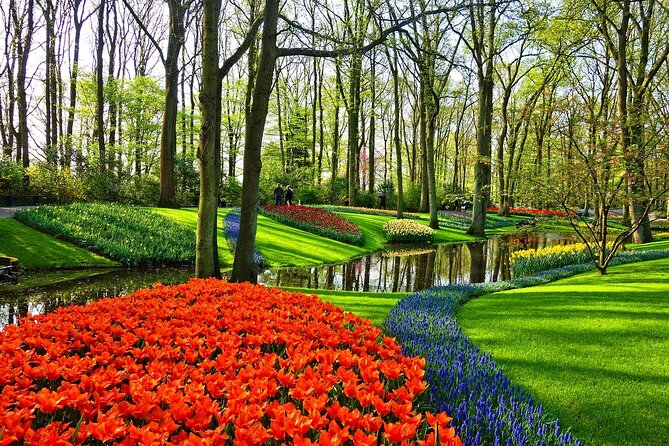 Tulip Experience and Keukenhof Flower Gardens Tour from Amsterdam - Practical Tips for Your Tour