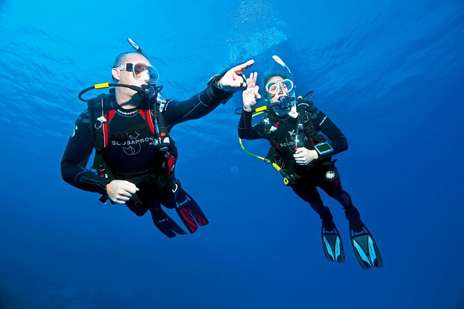 Two Morning Dives in Gozo for Certified Diver - Final Thoughts: Who Should Consider This Tour?