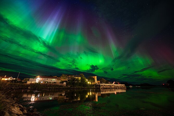 Ultimate Aurora Hunt Northern Lights Van Tour with Hot Drinks - Final thoughts