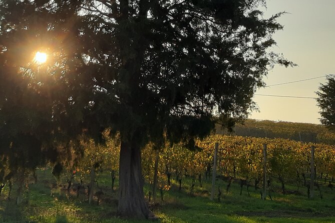 Unique wine tasting at Winery Marchesi Incisa della Rocchetta - FAQ