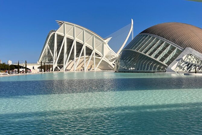 Valencia: City of Arts and Sciences Private Walking Tour - The Sum Up: Why This Tour Is a Great Choice