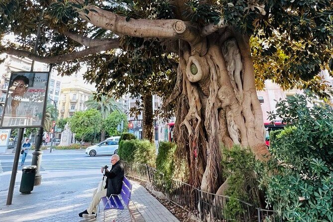 Valencia: Top 25 Highlights Guided Bike Tour - FAQ