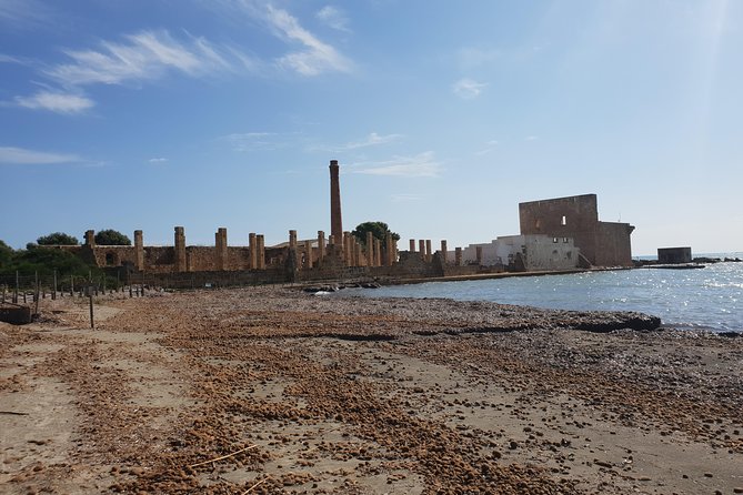 Vendicari - Sicily's best coast nature reserve ( Birdwatching & Archeology ) - Why This Tour Is a Great Choice