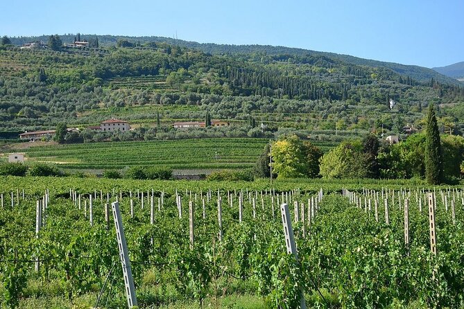 Verona and Amarone - Authenticity and Overall Experience