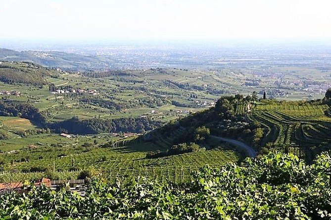 Verona art city, Valpolicella wine tasting full day private tour - What Travelers Say