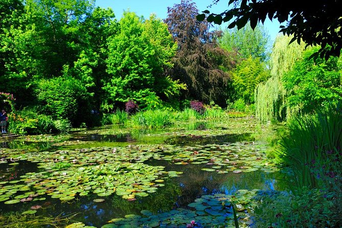 Versailles & Giverny Private Day Tour Luxury van & Private Guide - The Sum Up