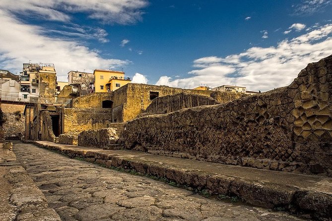 Vesuvius and Herculaneum Day Trip from Naples with skip the line - Reviews in Perspective