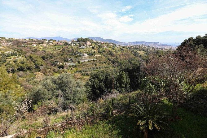 Viator Exclusive: Local Cooking Class & Dinner with View of Nice - Authentic Reviews in Their Own Words