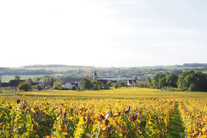 Vineyard tour & Tasting of all our lineup - Final Thoughts