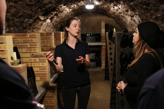 VIP Champagne Region Day Trip with 7 Tastings & Lunch from Paris - The Sum Up