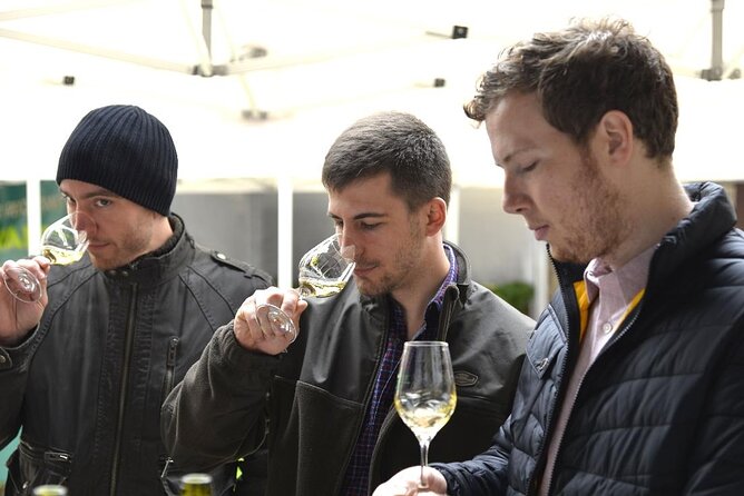 Visit and Chablis wine tasting at Domaine Clotilde Davenne in English - Who Will Enjoy This?