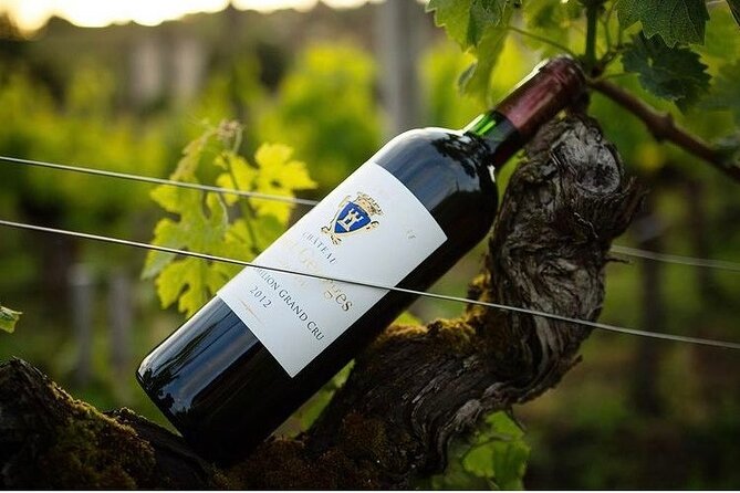 Visit and Tasting Château Saint-Georges Cote Pavie, Grand Cru Classé - Pricing, Duration, and Value