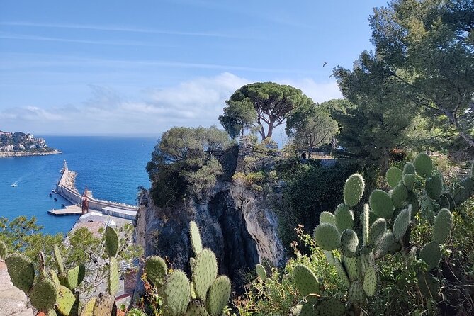 Visit Nice in 2h with Local Certified Guide - FAQ