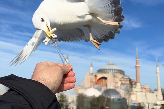 Voyager of Istanbul Top Landmark Tour - In Closing